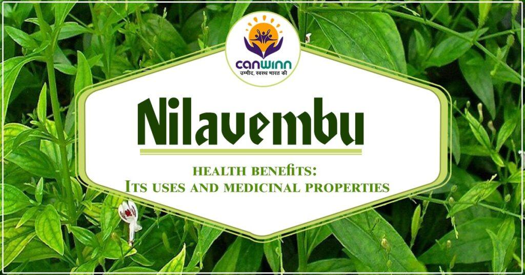 Nilavembu Health Benefits: Its Uses and Medicinal Properties - CanWinn ...